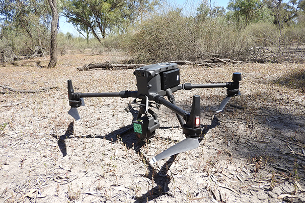 UC researchers test drone-based approach to monitor native shrubs in ...